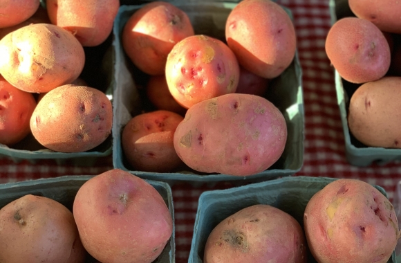 Farmers Market at MAD | Murphy Arts District